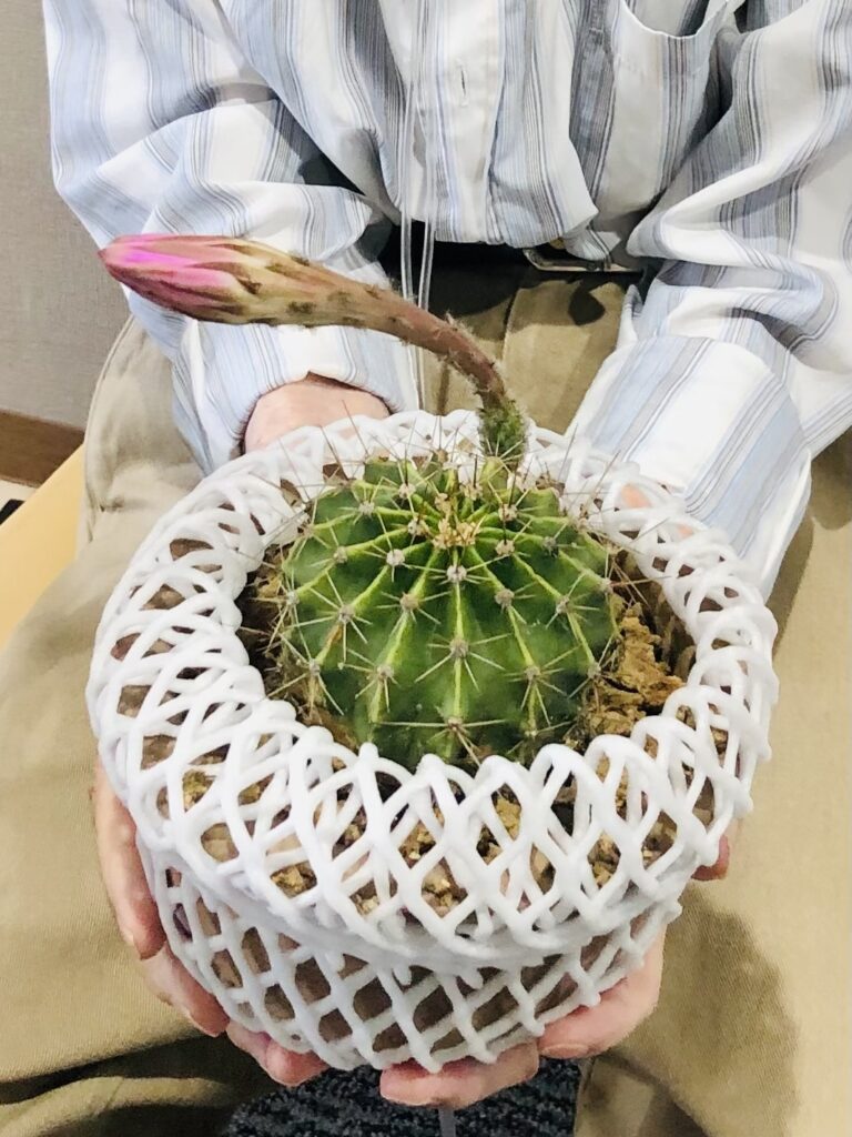 一瞬の輝きを、みんなで。～サボテンの花が繋いだ温かい輪～ – 【公式】ショートステイ FUKUSUKE（ふくすけ）